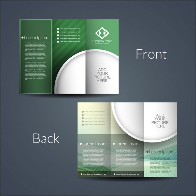 Double Sided Tri Fold Brochure Template Williamson ga us