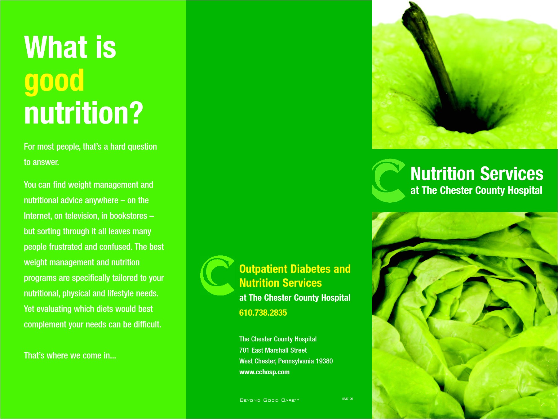 Nutrition Brochure Template Williamson ga us