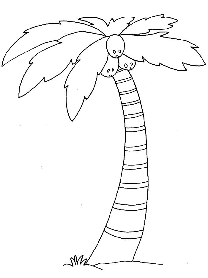 Chicka Chicka Boom Boom Palm Tree Template Williamson ga us