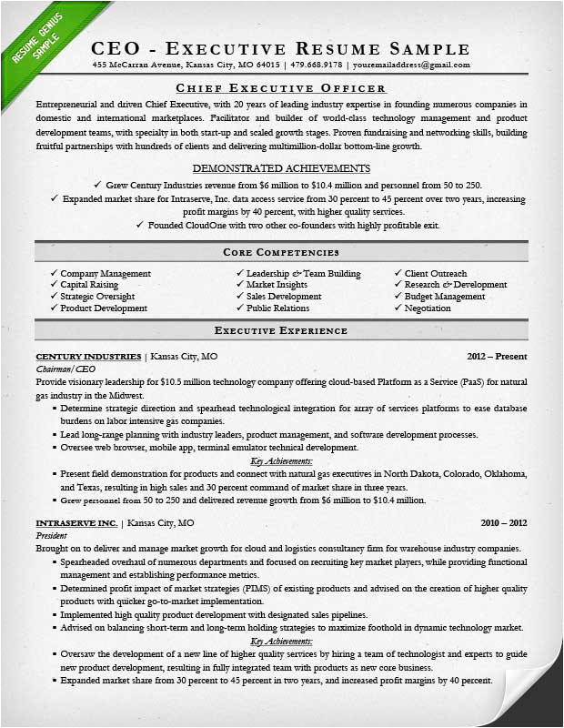 Co Founder Resume Sample Williamson ga us Co Founder Resume Sample Williamson ga us