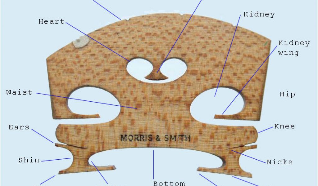 Violin Bridge Template Reference Violinbridges Co Uk – williamson-ga.us